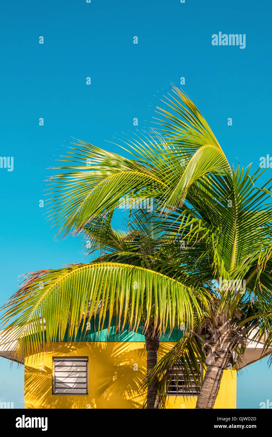 Beautiful house and palmtree in the bahamas Stock Photo - Alamy