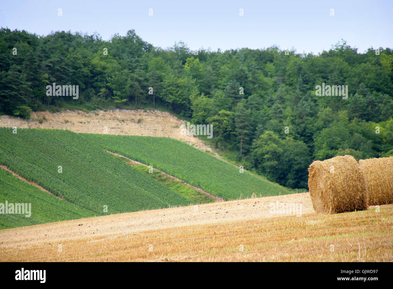 culture agriculture farming Stock Photo - Alamy