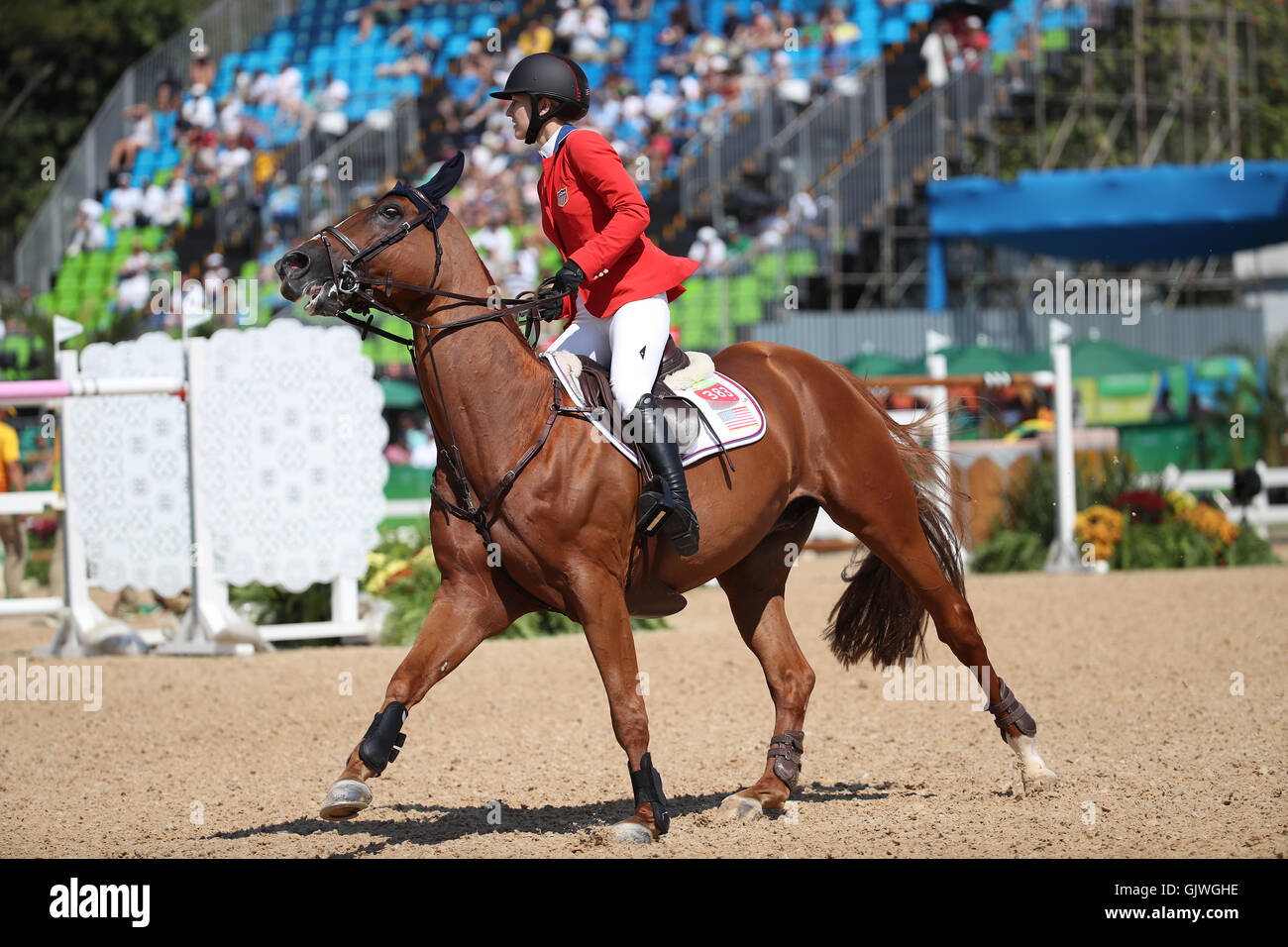 Lucy Davis Equestrian