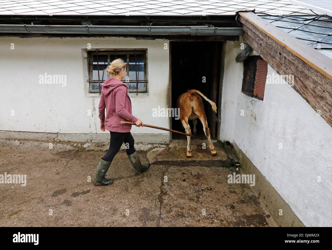 Brannenburg, Germany. 21st July, 2016. Maria Vogt, photographed at her ...