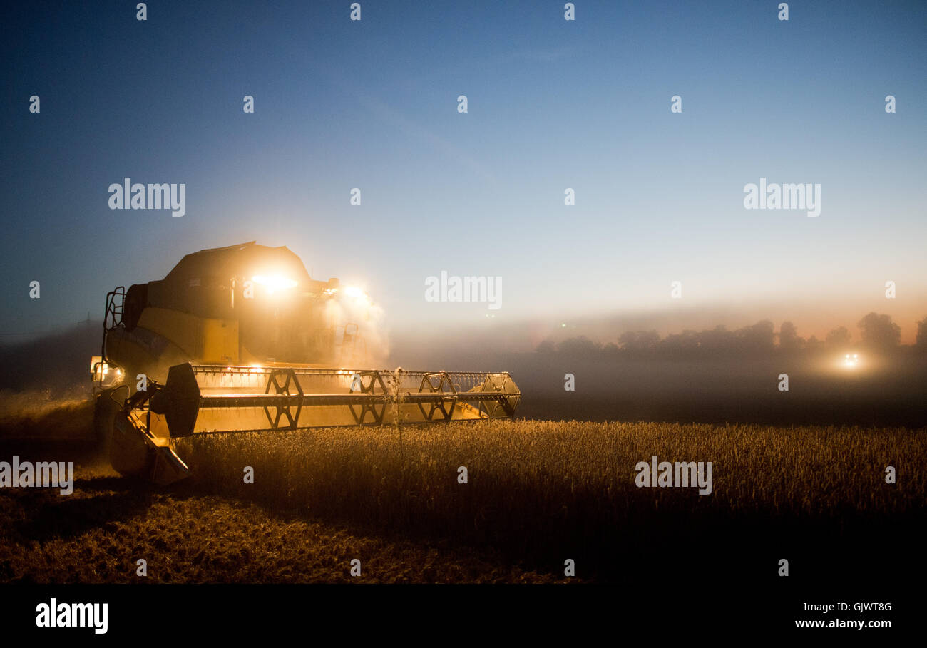 Sehnde, Germany. 17th Aug, 2016. A farmer harvesting wheat using a ...