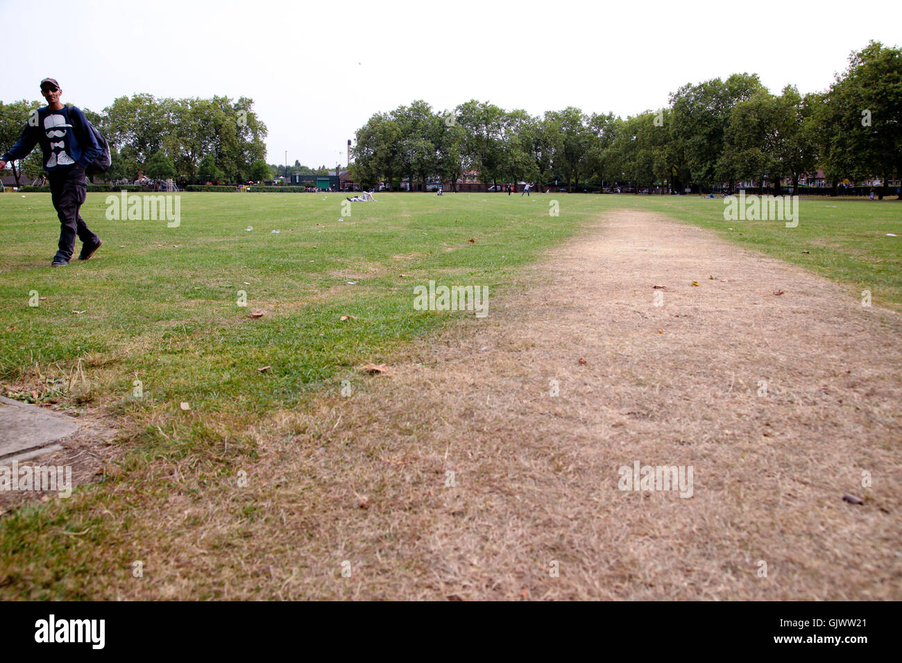 North London, UK. 18th Aug, 2016. An absolute drought in parts of ...