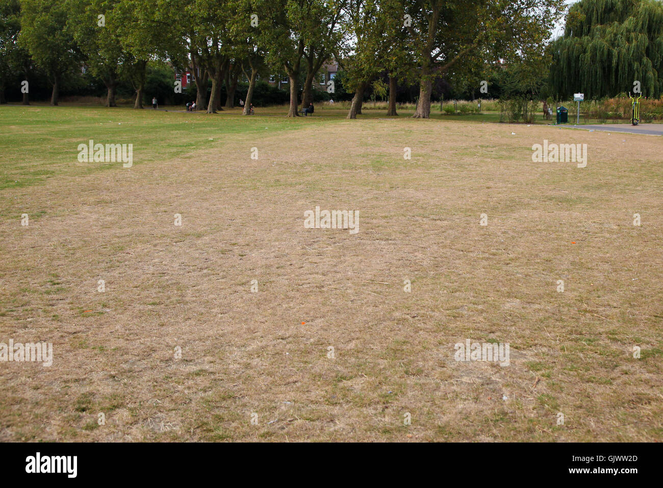 North London, UK. 18th Aug, 2016. An absolute drought in parts of ...