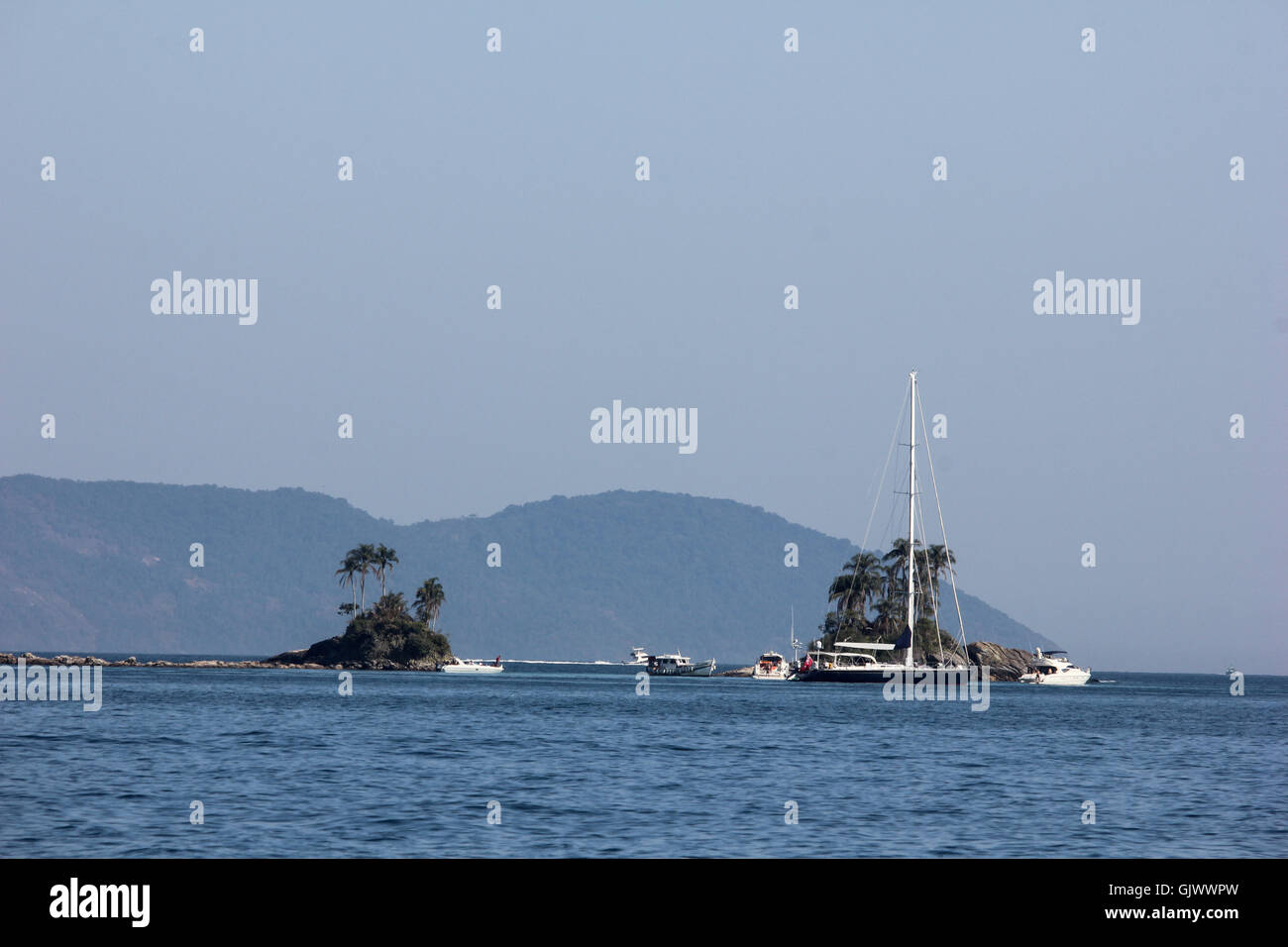 Reis park hi-res stock photography and images - Alamy