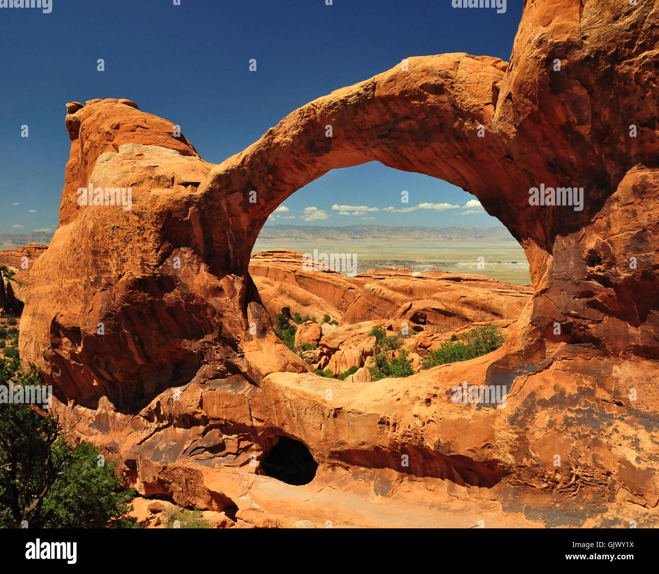 Humans with nature hi-res stock photography and images - Alamy