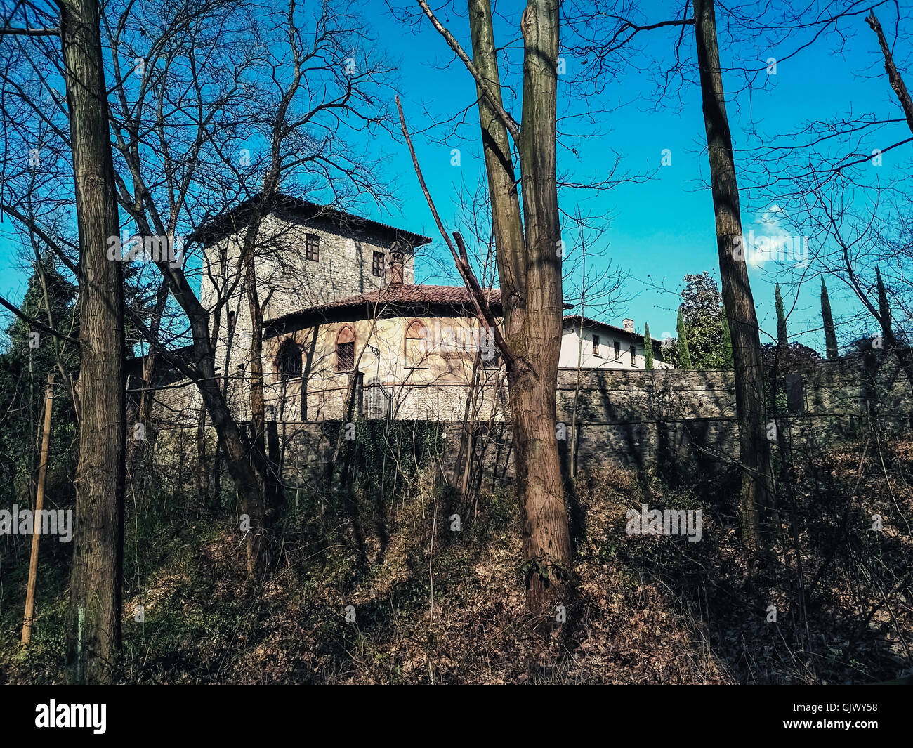 Ancient abbey in the woods Stock Photo - Alamy