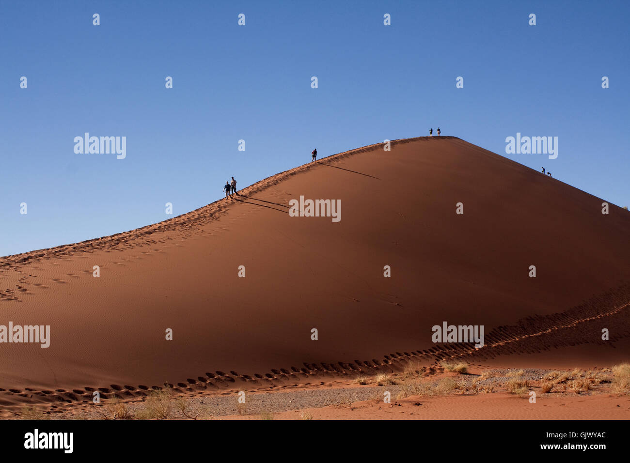 Namibia green field hi-res stock photography and images - Alamy