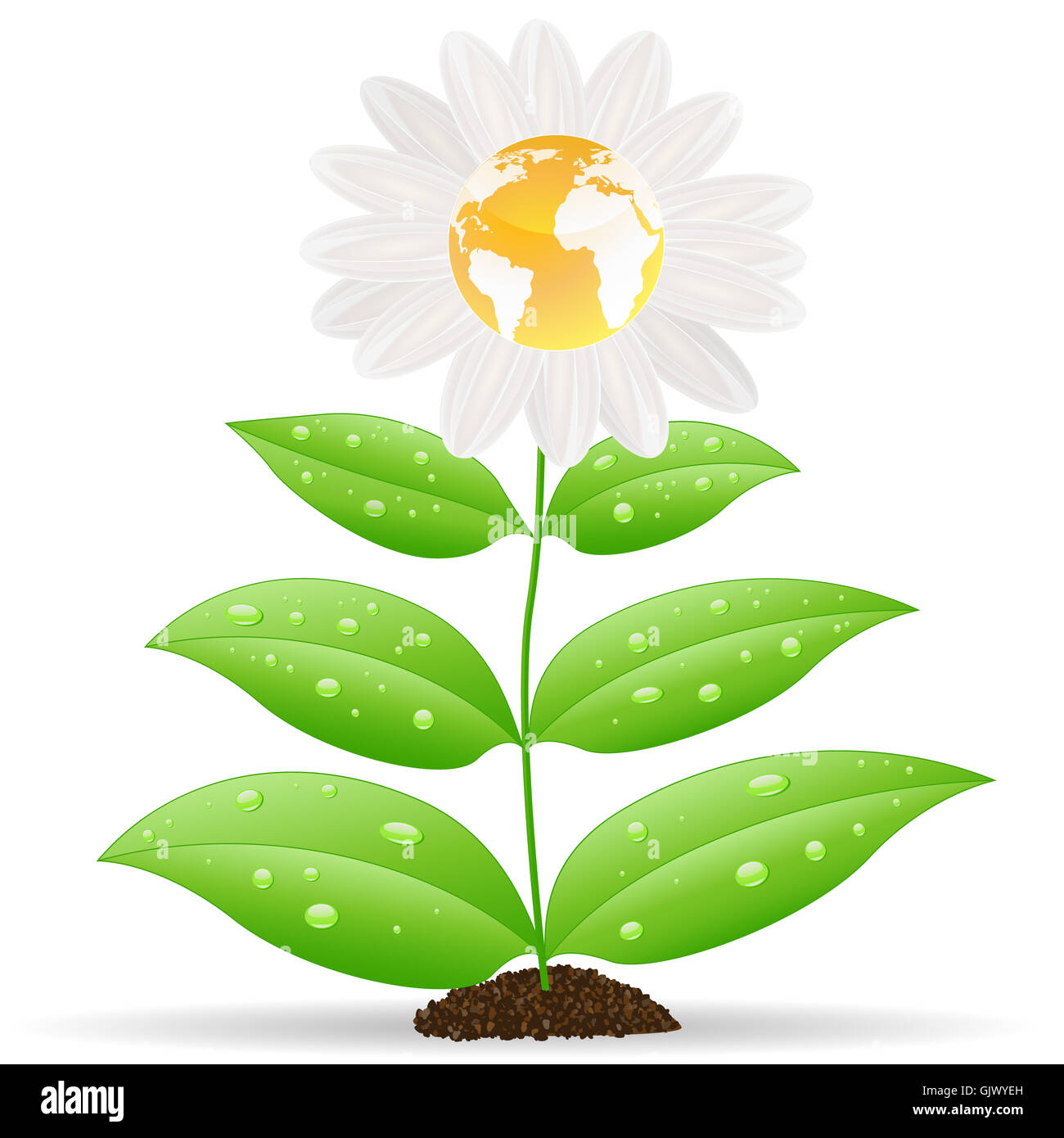 environment enviroment flower Stock Photo - Alamy