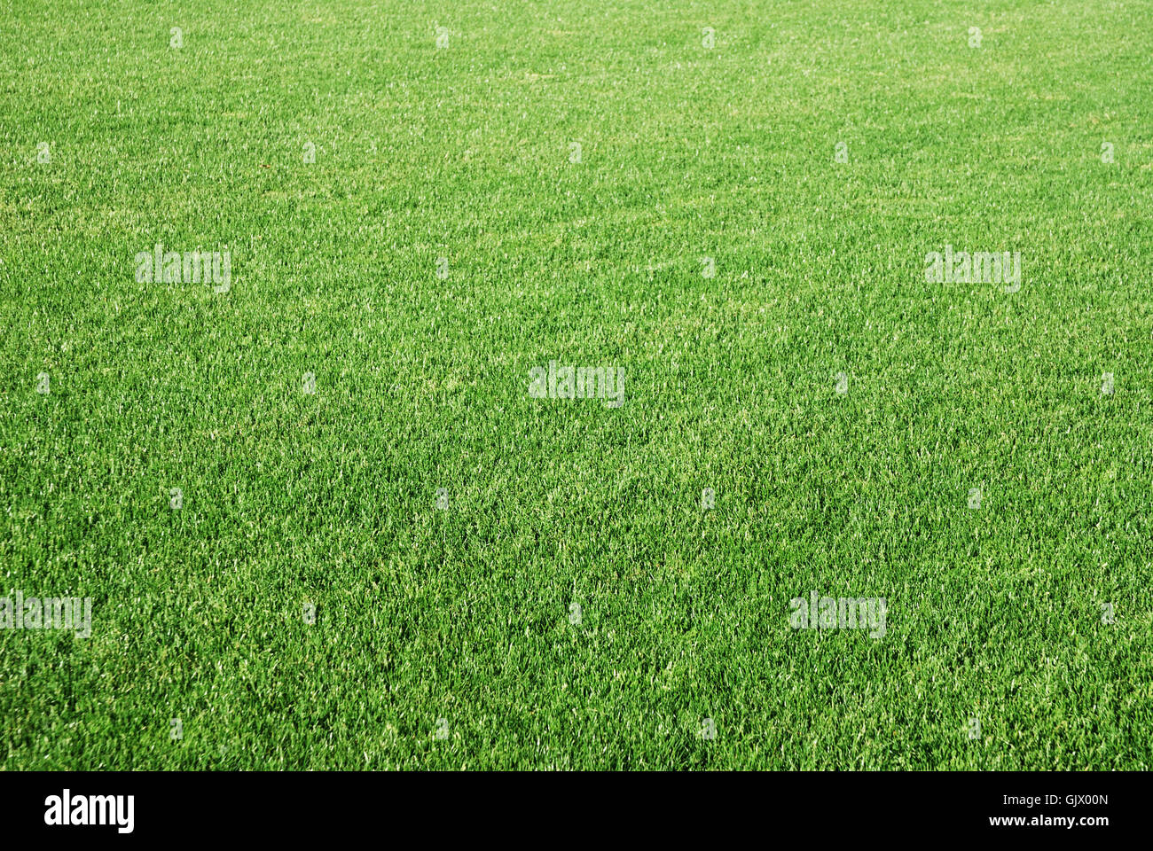 Regular field hi-res stock photography and images - Alamy
