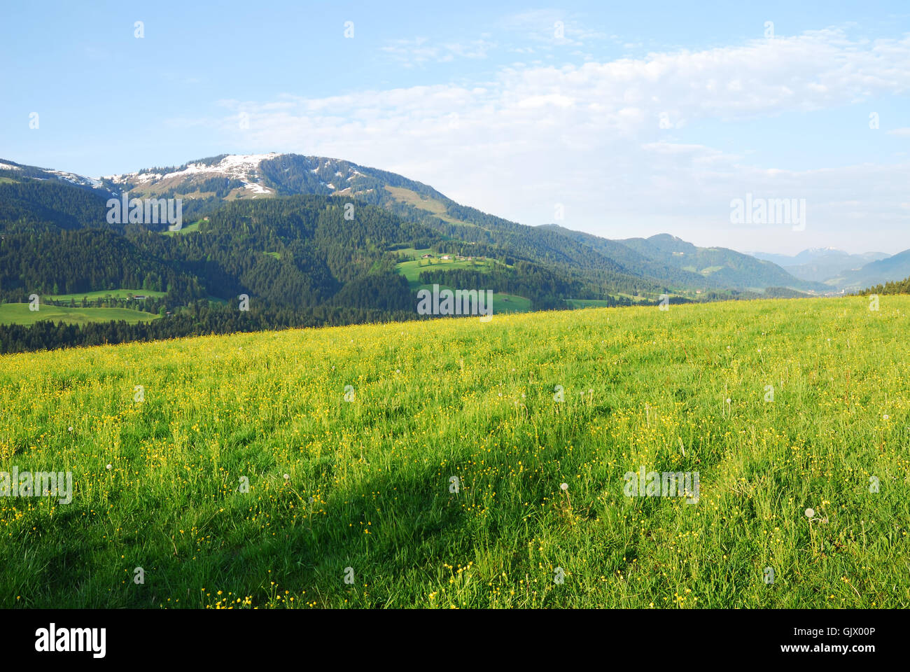 The alps austria hi-res stock photography and images - Alamy