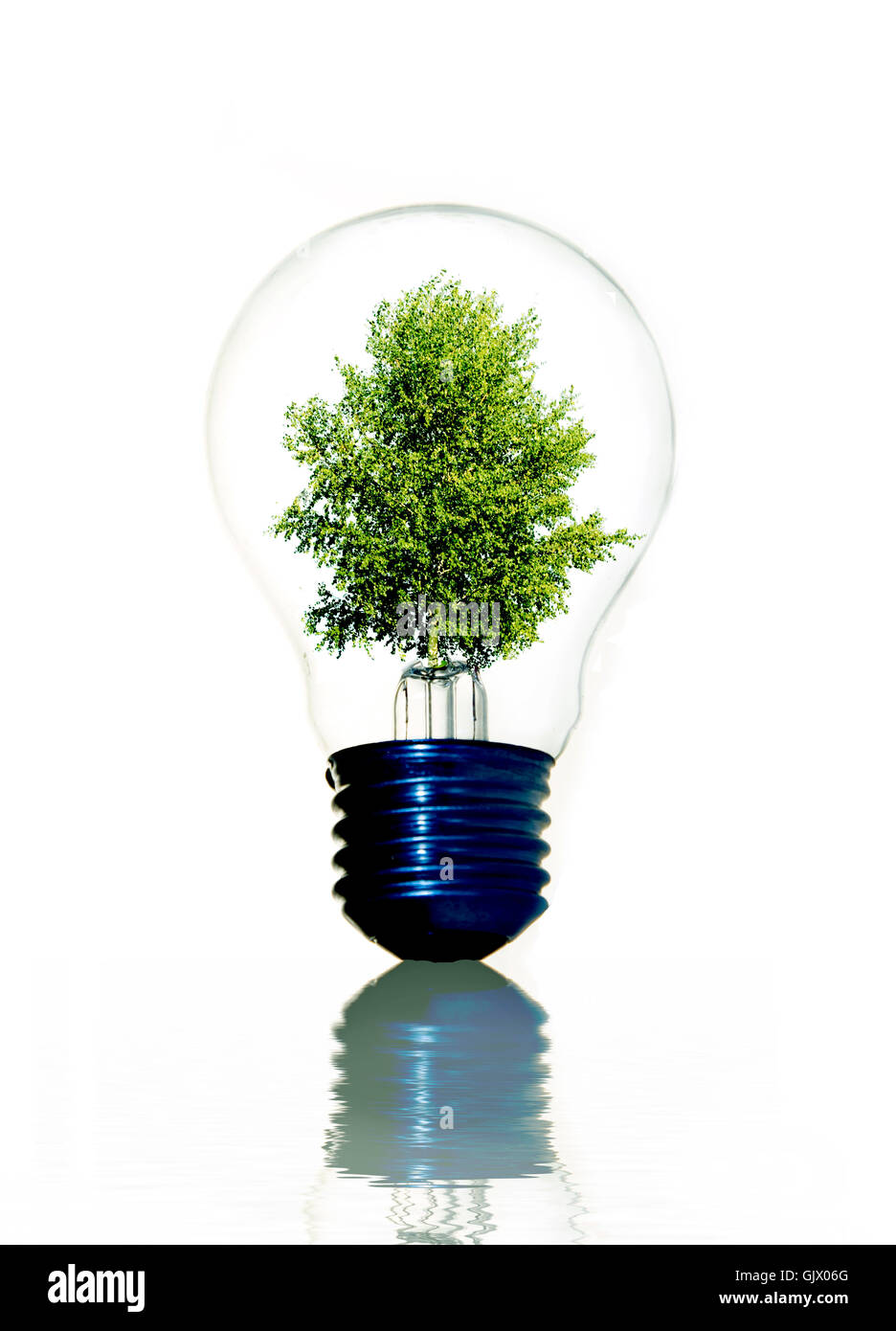 Eco tree save hi-res stock photography and images - Alamy