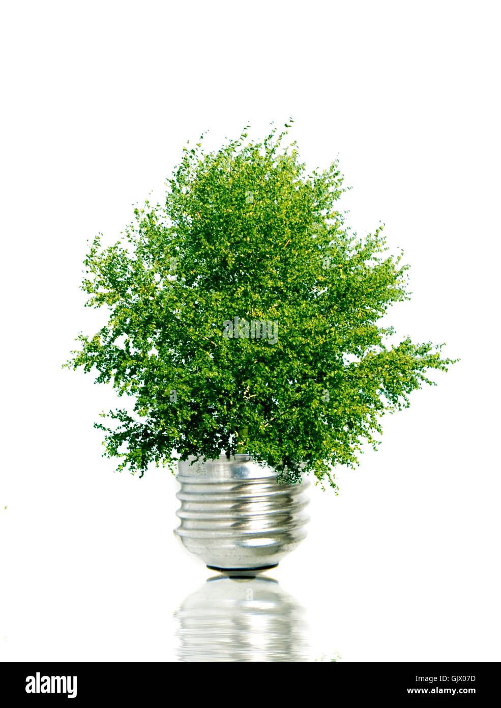 Eco tree save hi-res stock photography and images - Alamy