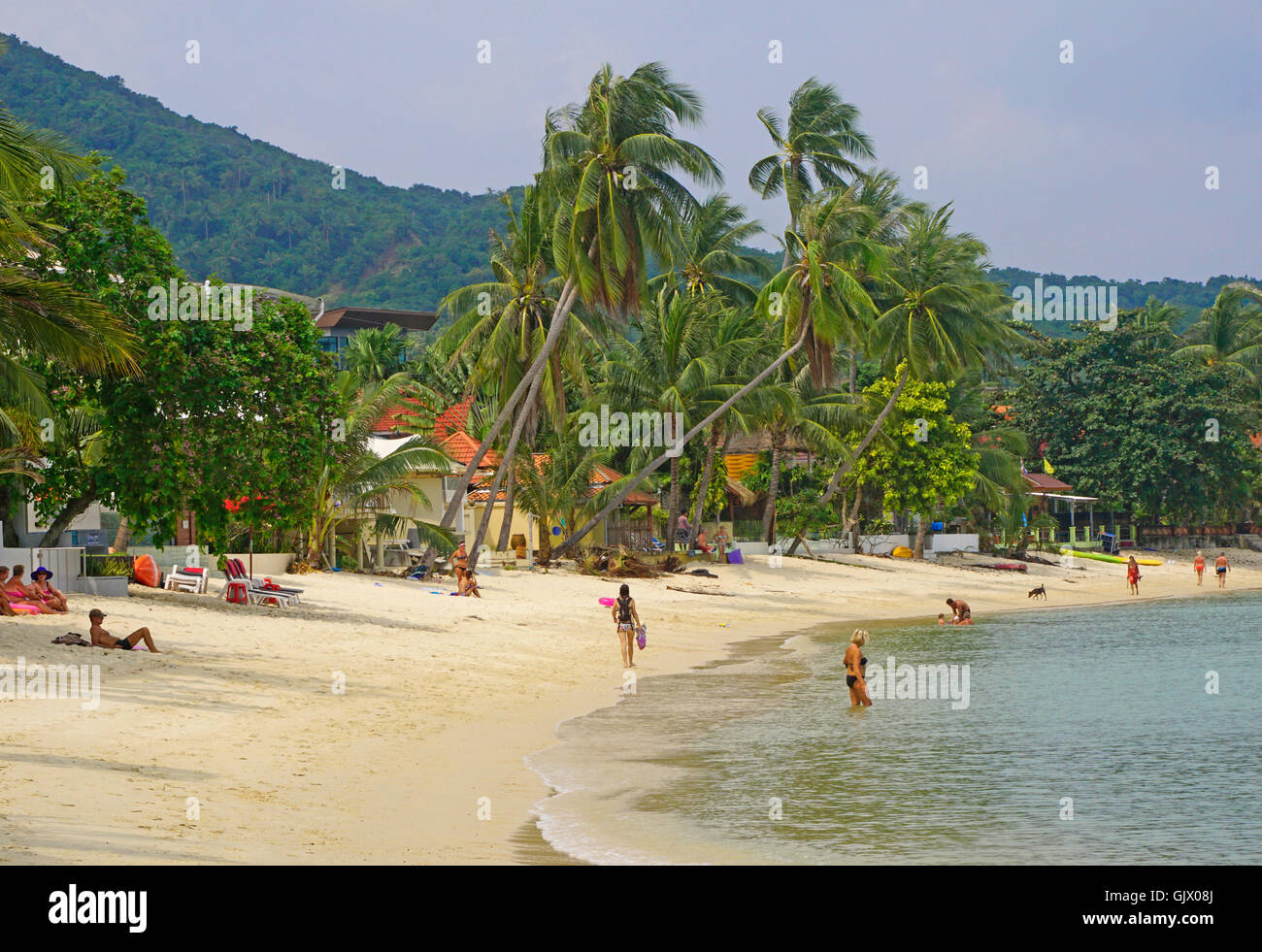 Bo Phut Beach, Koh Samui, Thailand Stock Photo - Alamy
