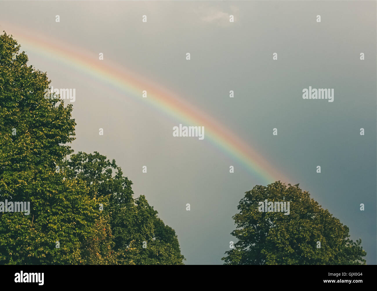 Rainbow and trees Stock Photo - Alamy