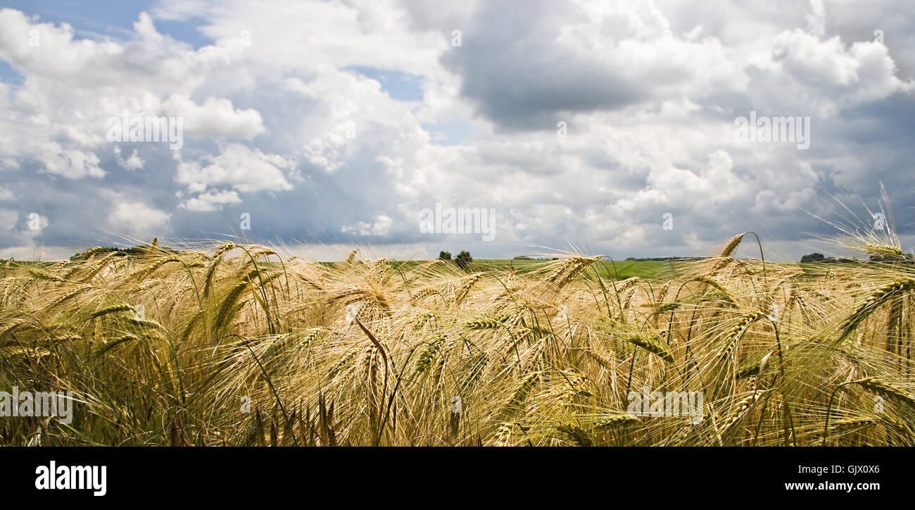 Horizontal agriculture farming hi-res stock photography and images - Alamy