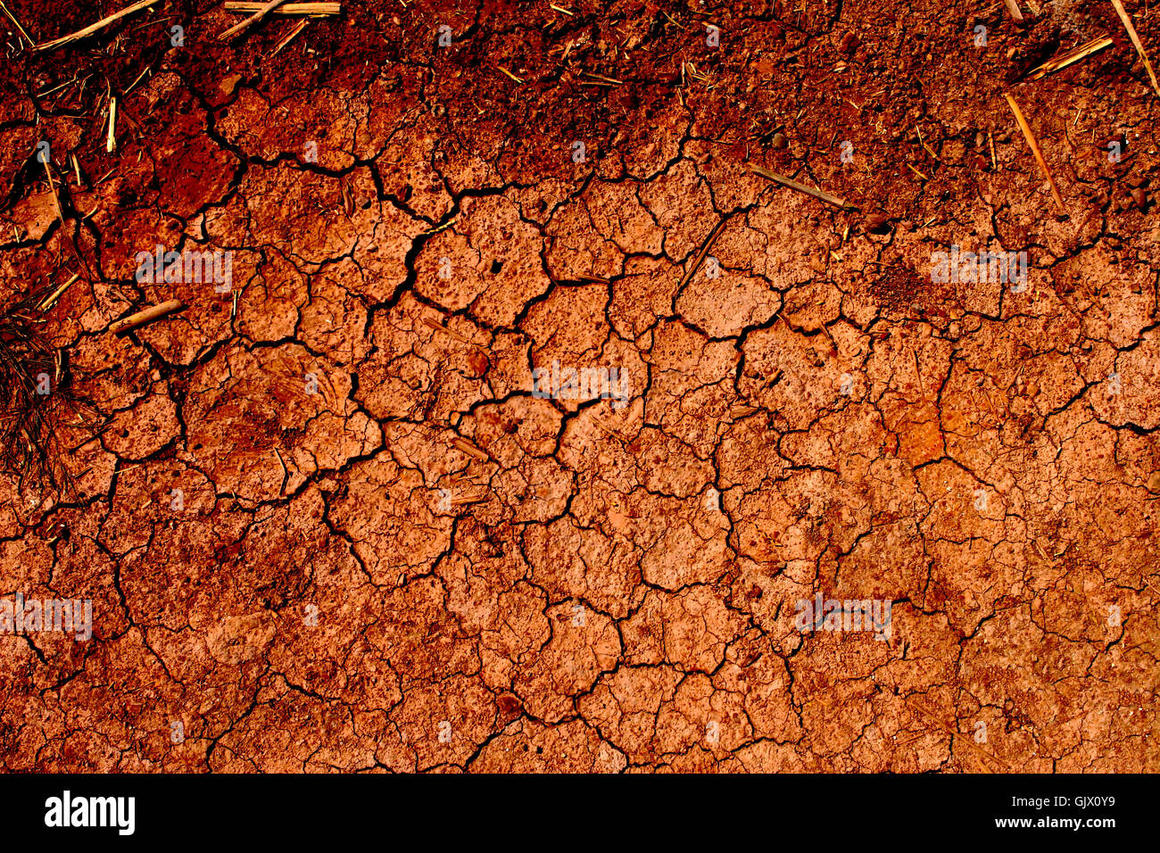 Shiny clay hi-res stock photography and images - Alamy