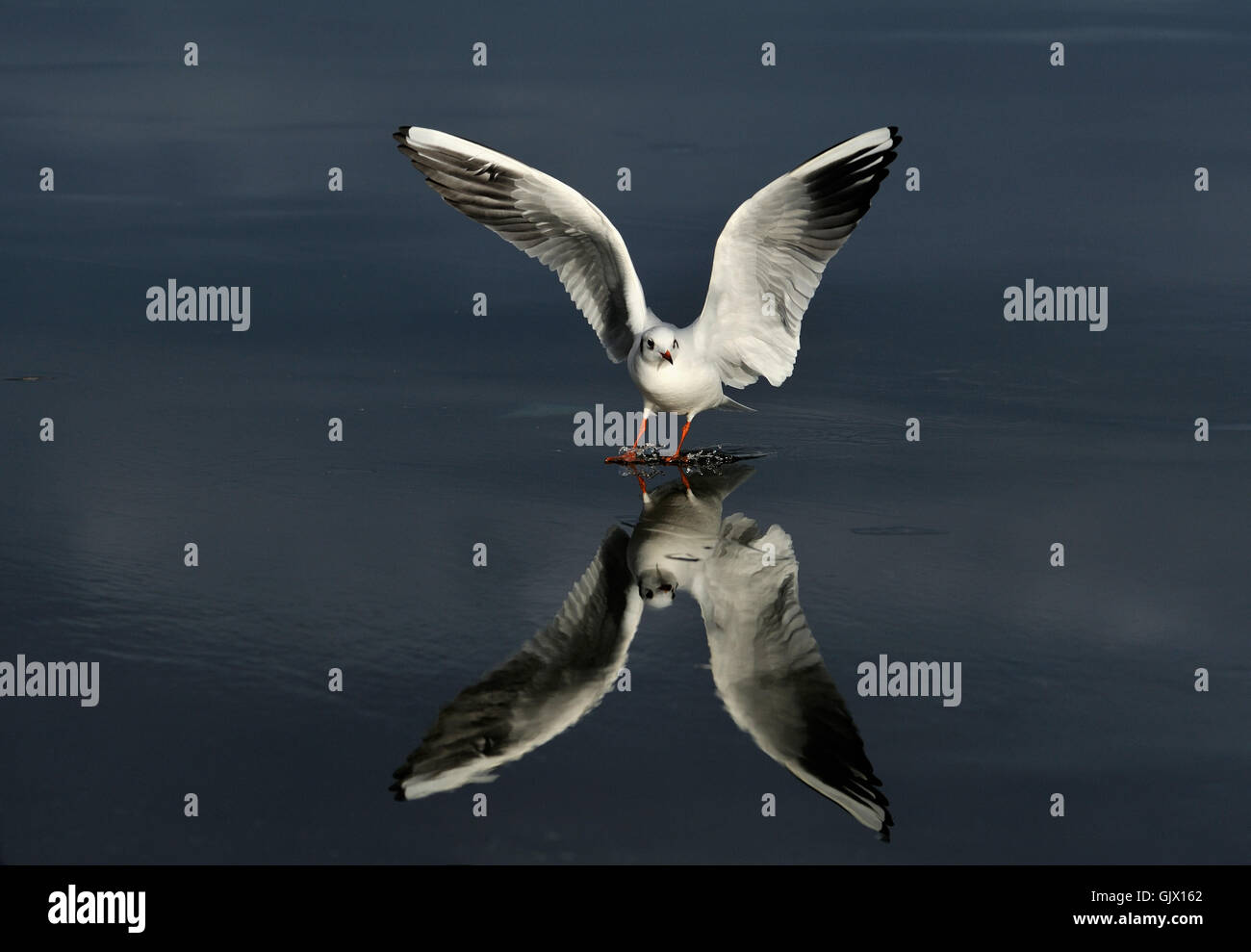 Angel mirror hi-res stock photography and images - Alamy