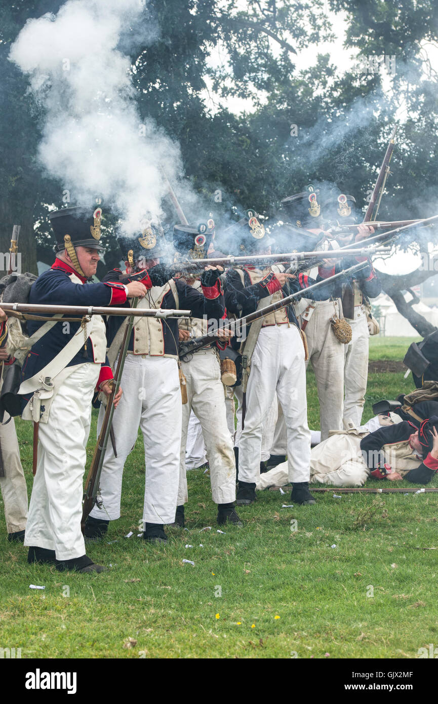 21st eme Regiment de Ligne on the battlefield of a Napoleonic war ...