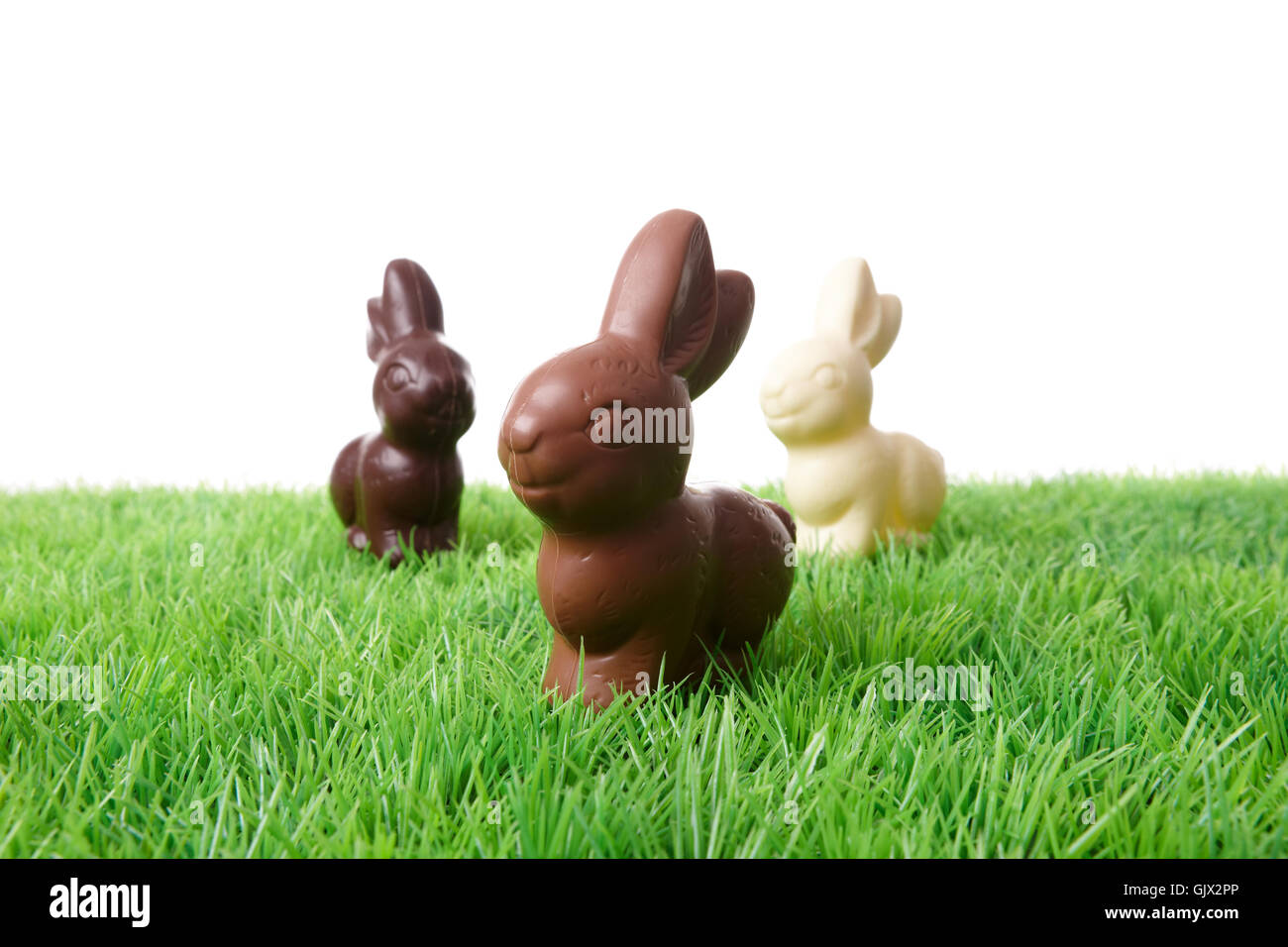 Black and white rabbit on lawn hi-res stock photography and images - Alamy
