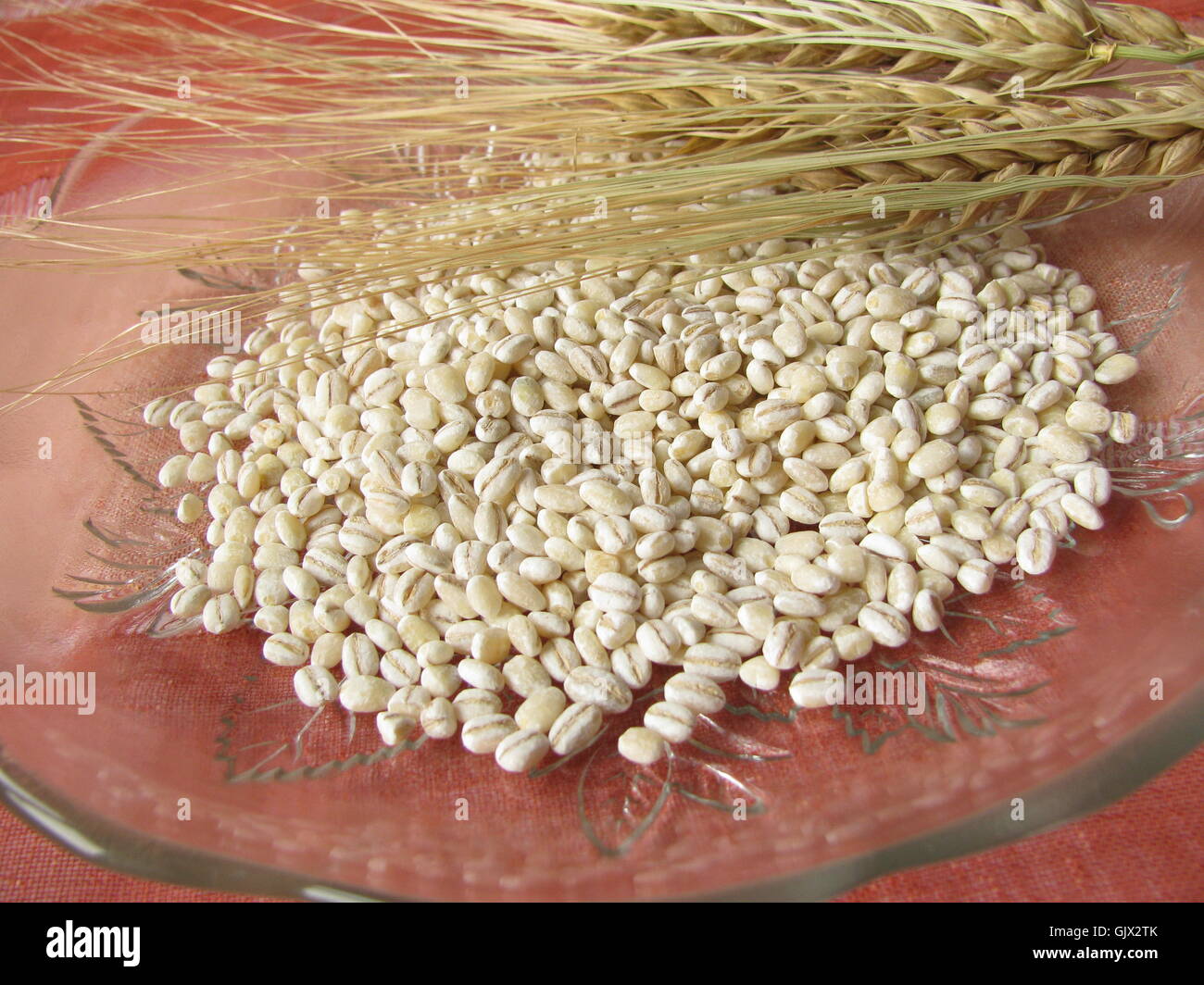 barley barley corn enclosure Stock Photo - Alamy