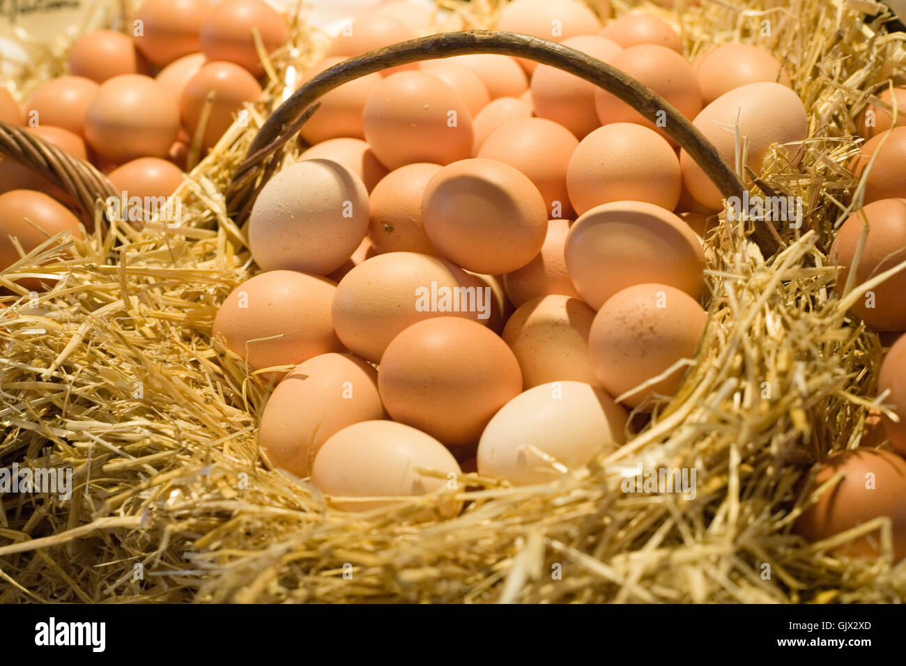Dairy exchange hi-res stock photography and images - Alamy