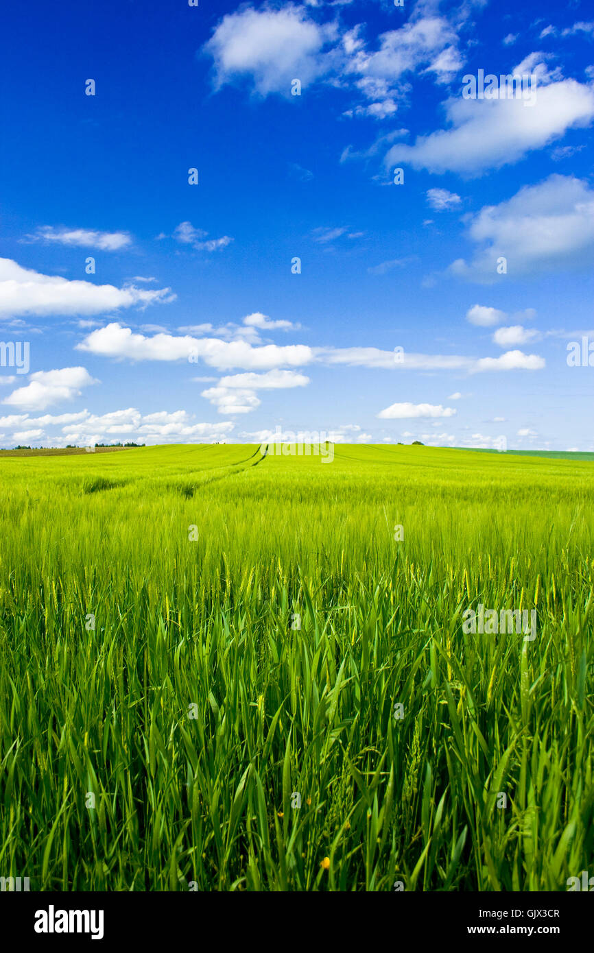 Firmament sky hi-res stock photography and images - Alamy