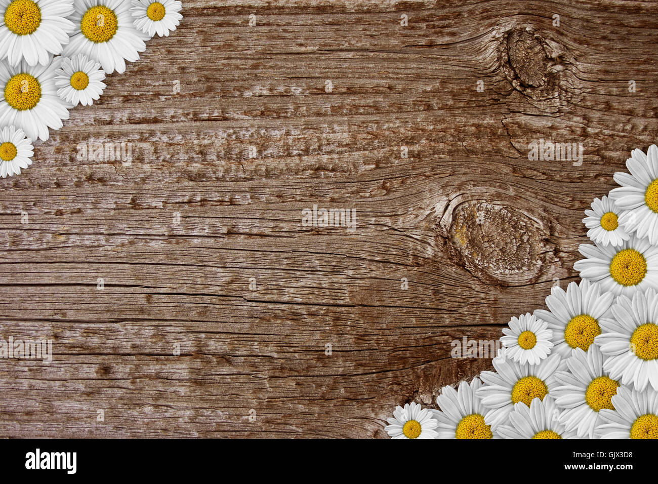 board flower plant Stock Photo - Alamy