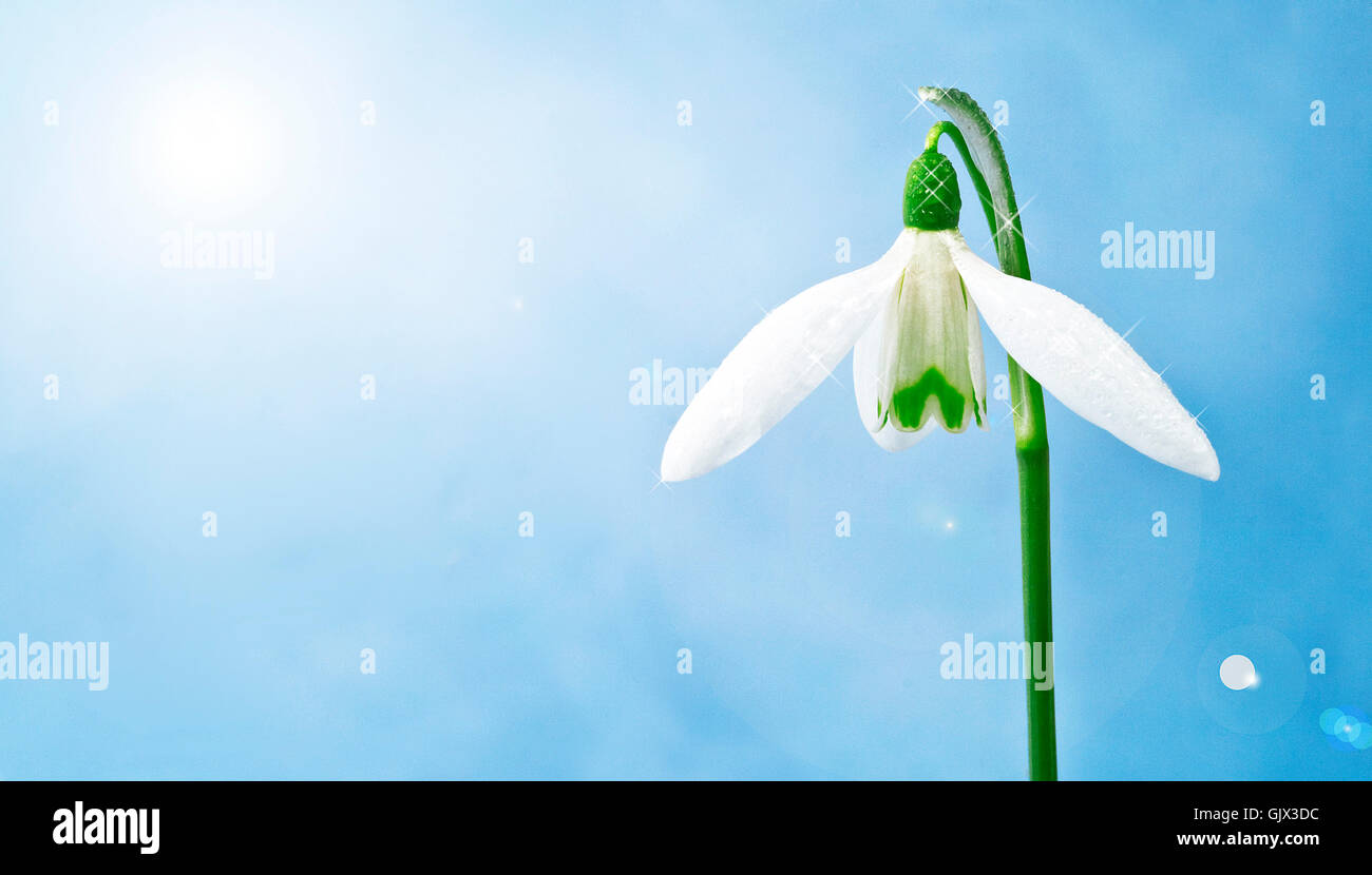 blue winter snow Stock Photo - Alamy