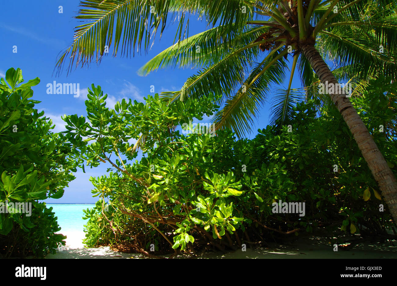 beach seaside the beach Stock Photo - Alamy