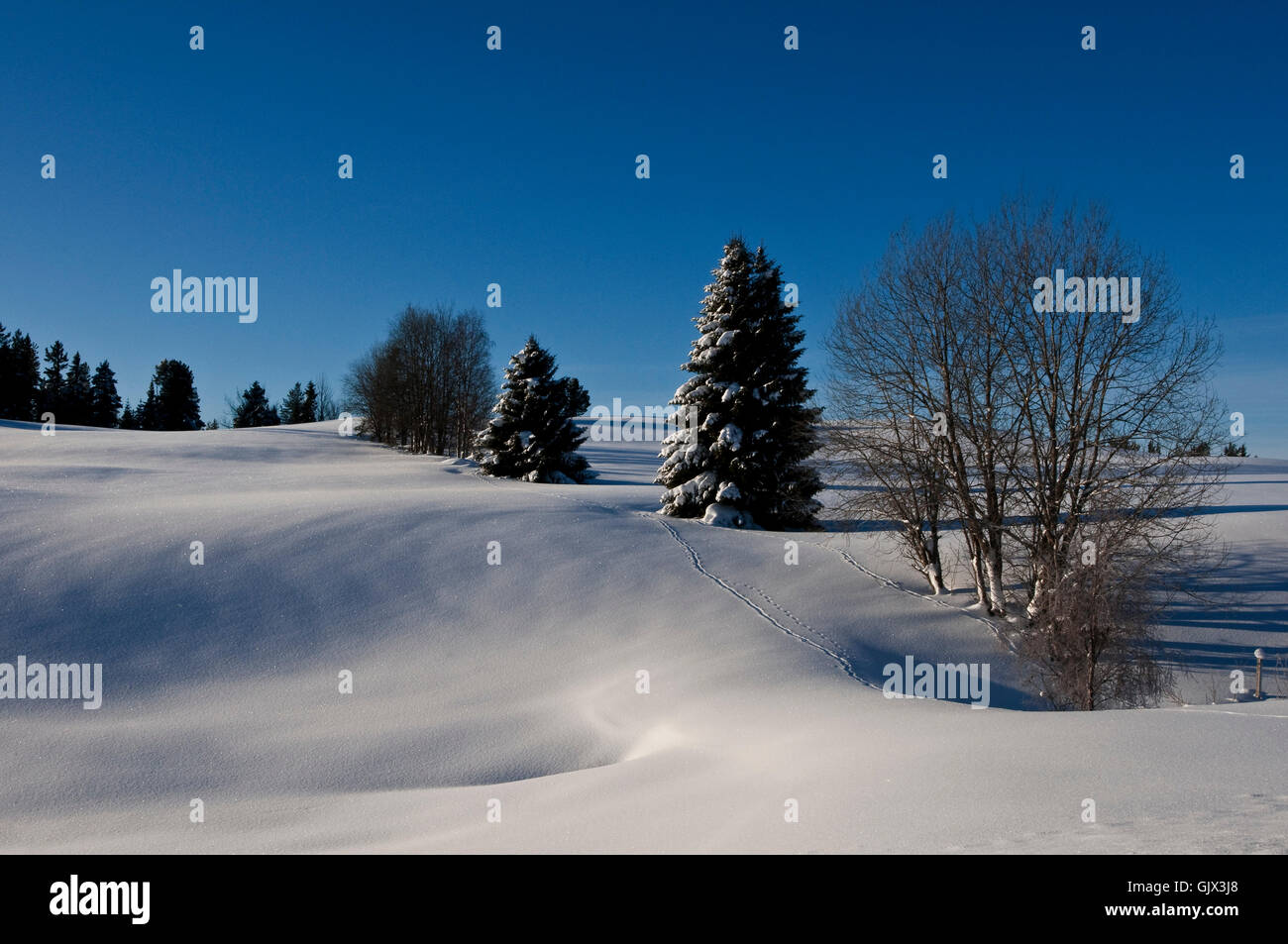 hill winter sweden Stock Photo - Alamy