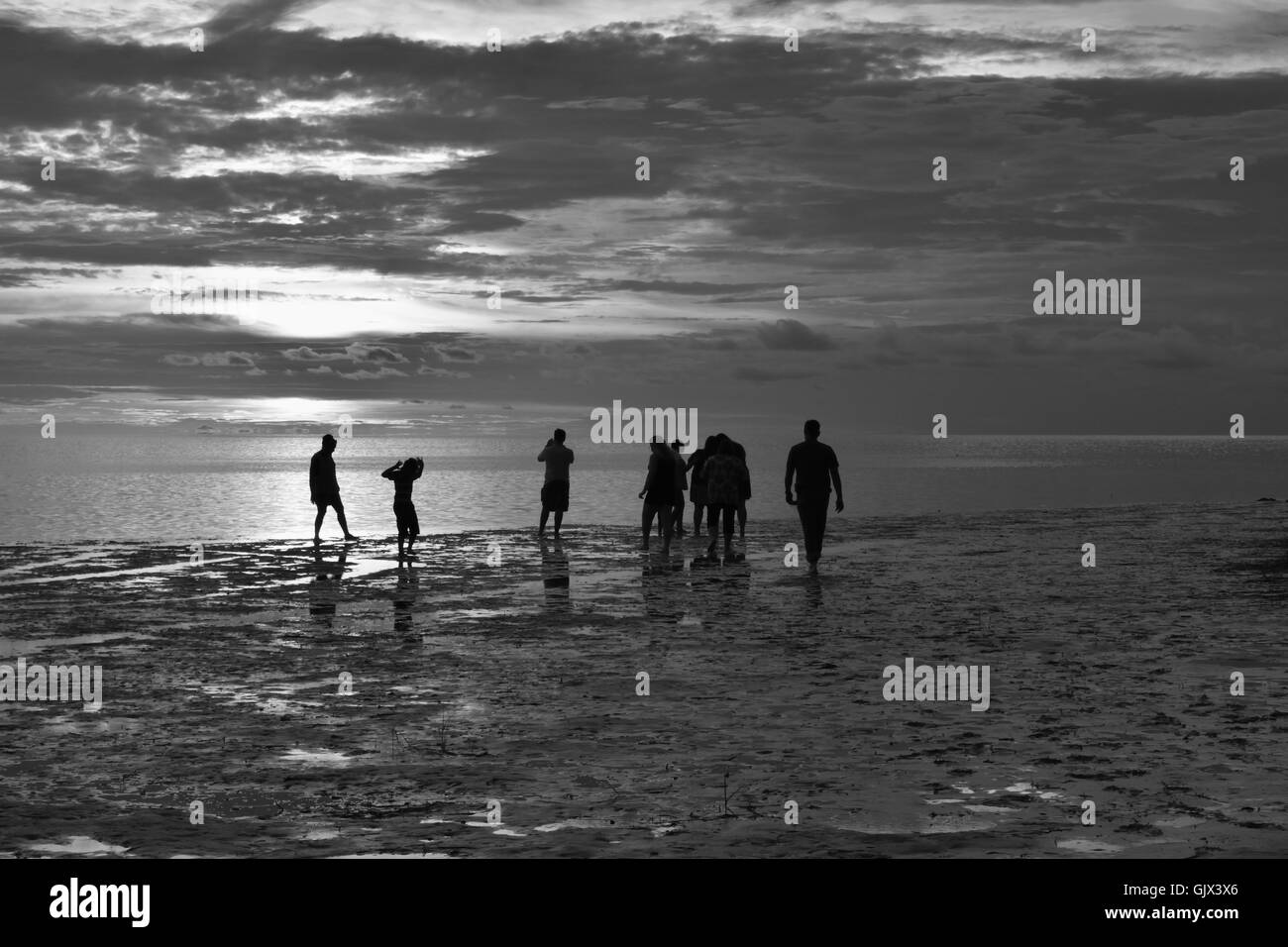 Florida family beach Black and White Stock Photos & Images - Alamy