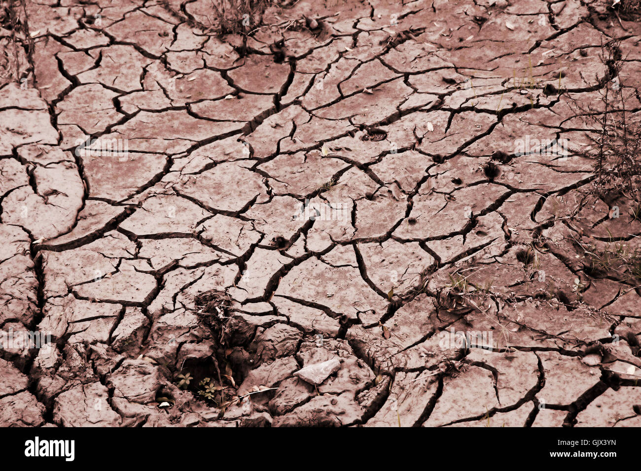 Fissured clay texture hi-res stock photography and images - Alamy