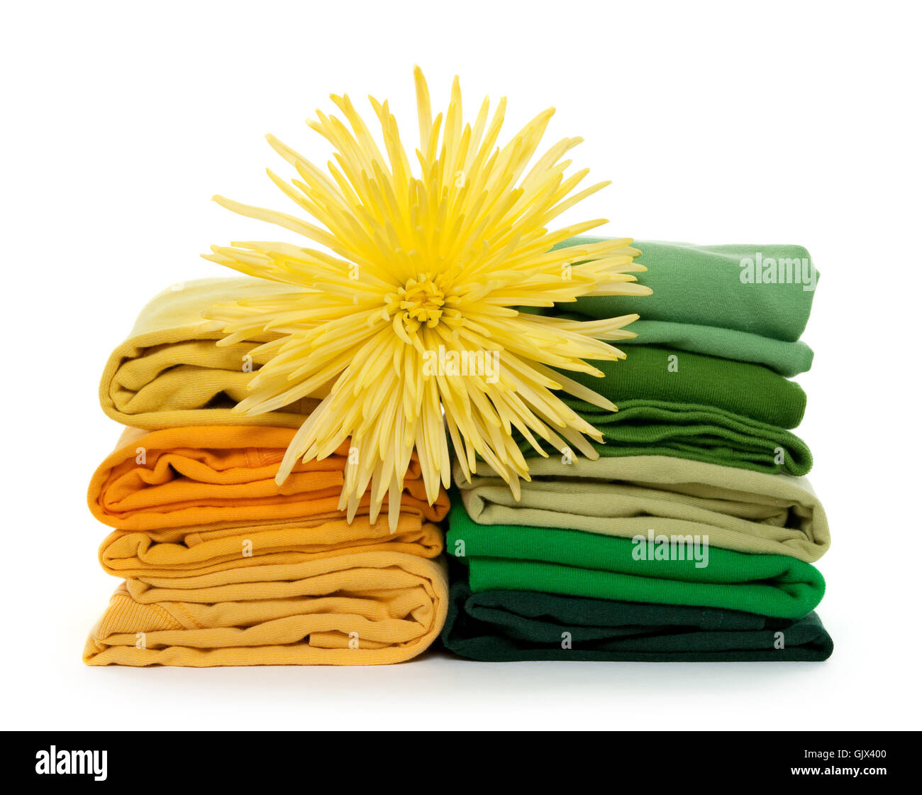 Sunny colours Cut Out Stock Images & Pictures - Alamy