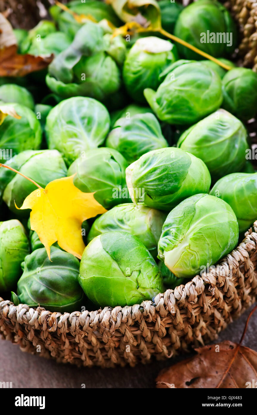 food aliment basket Stock Photo - Alamy