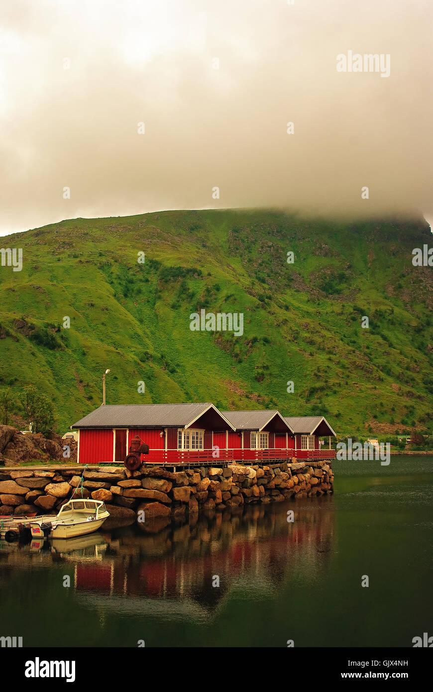 Rorbus hi-res stock photography and images - Alamy