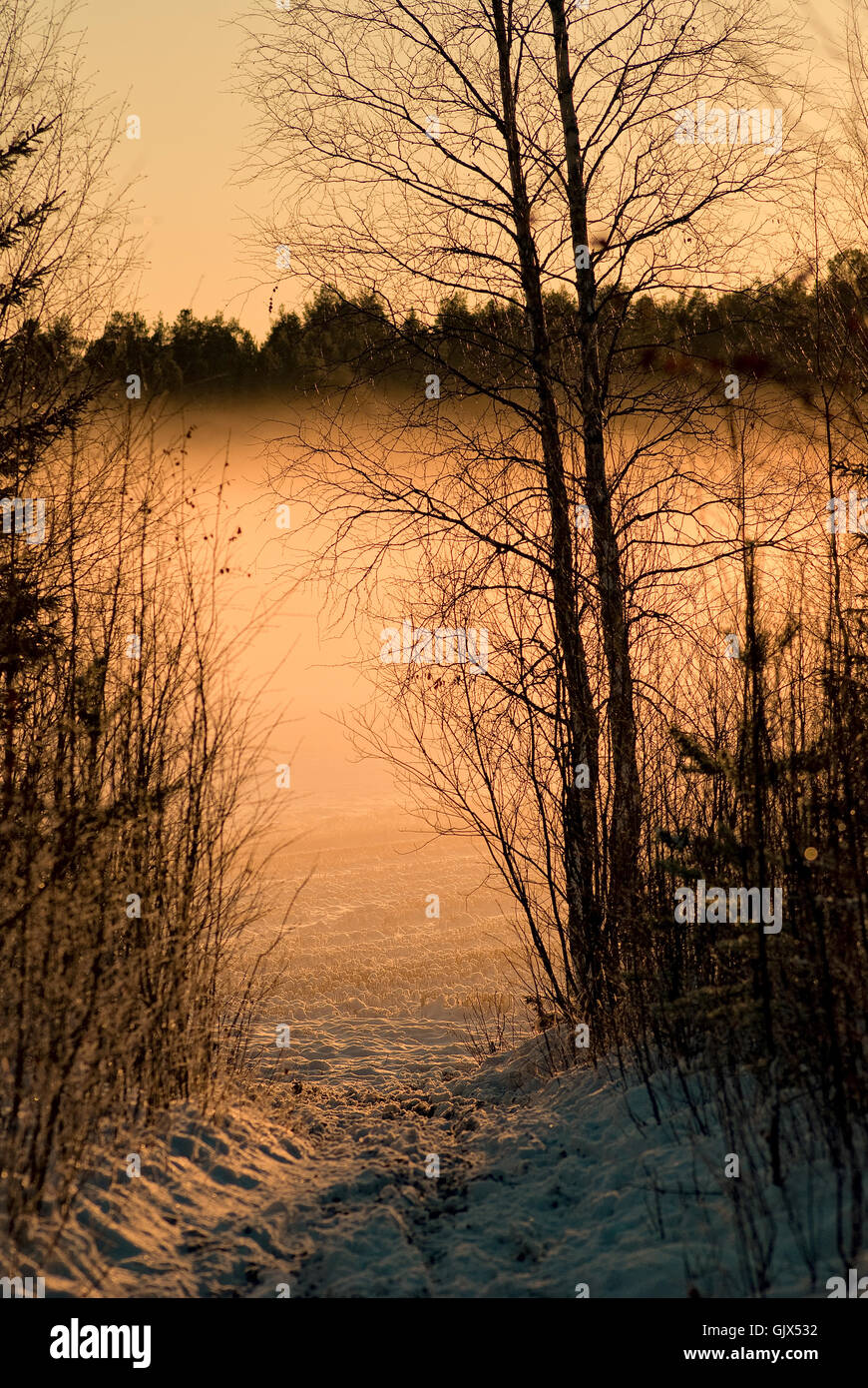 Mist over fields Stock Photo - Alamy