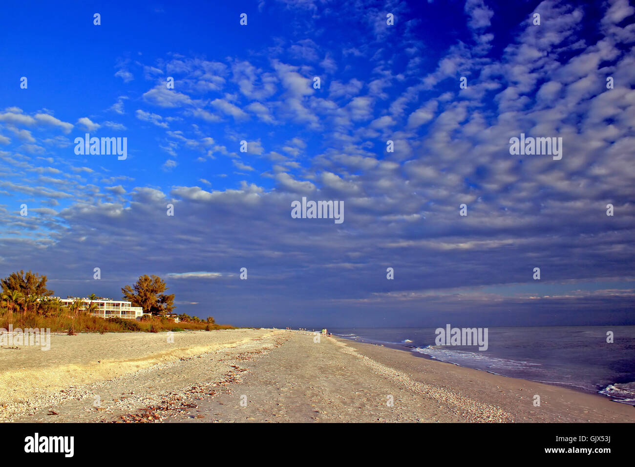 sunset beach seaside Stock Photo - Alamy