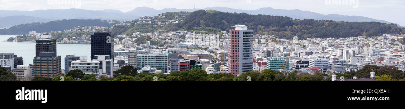 The panoramic view of Wellington downtown, the capital of New Zealand ...