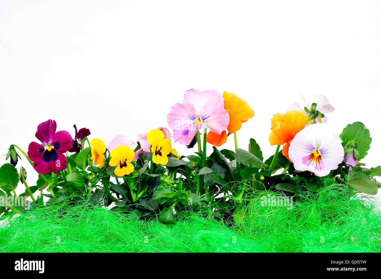 Flower homepage background hi-res stock photography and images - Alamy