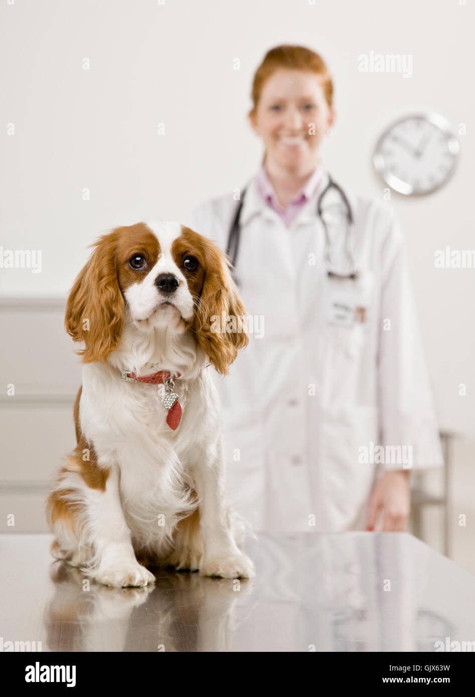 woman humans human beings Stock Photo - Alamy