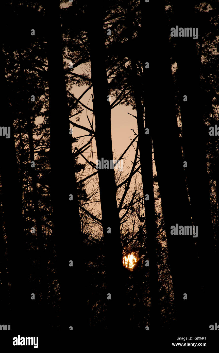 Light and color contrast hi-res stock photography and images - Alamy