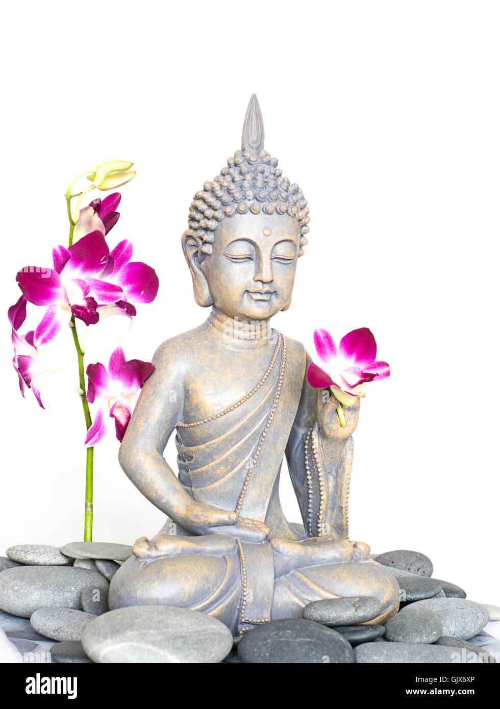 religion flower plant Stock Photo - Alamy