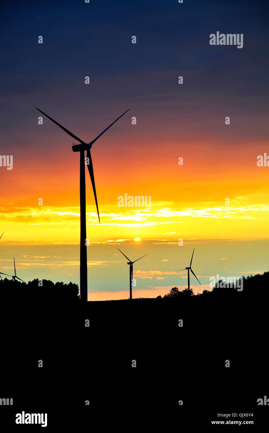 Wind turbines during beautiful sunset Stock Photo - Alamy