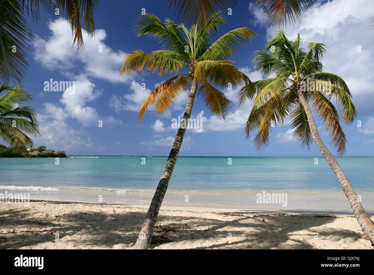 beach seaside the beach Stock Photo - Alamy