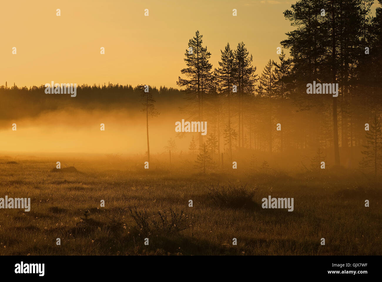 Early Morning Mist Stock Photo - Alamy
