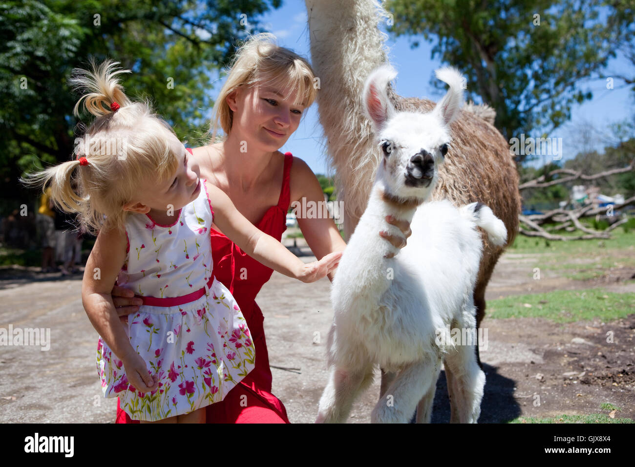 Lama girl hi-res stock photography and images - Alamy