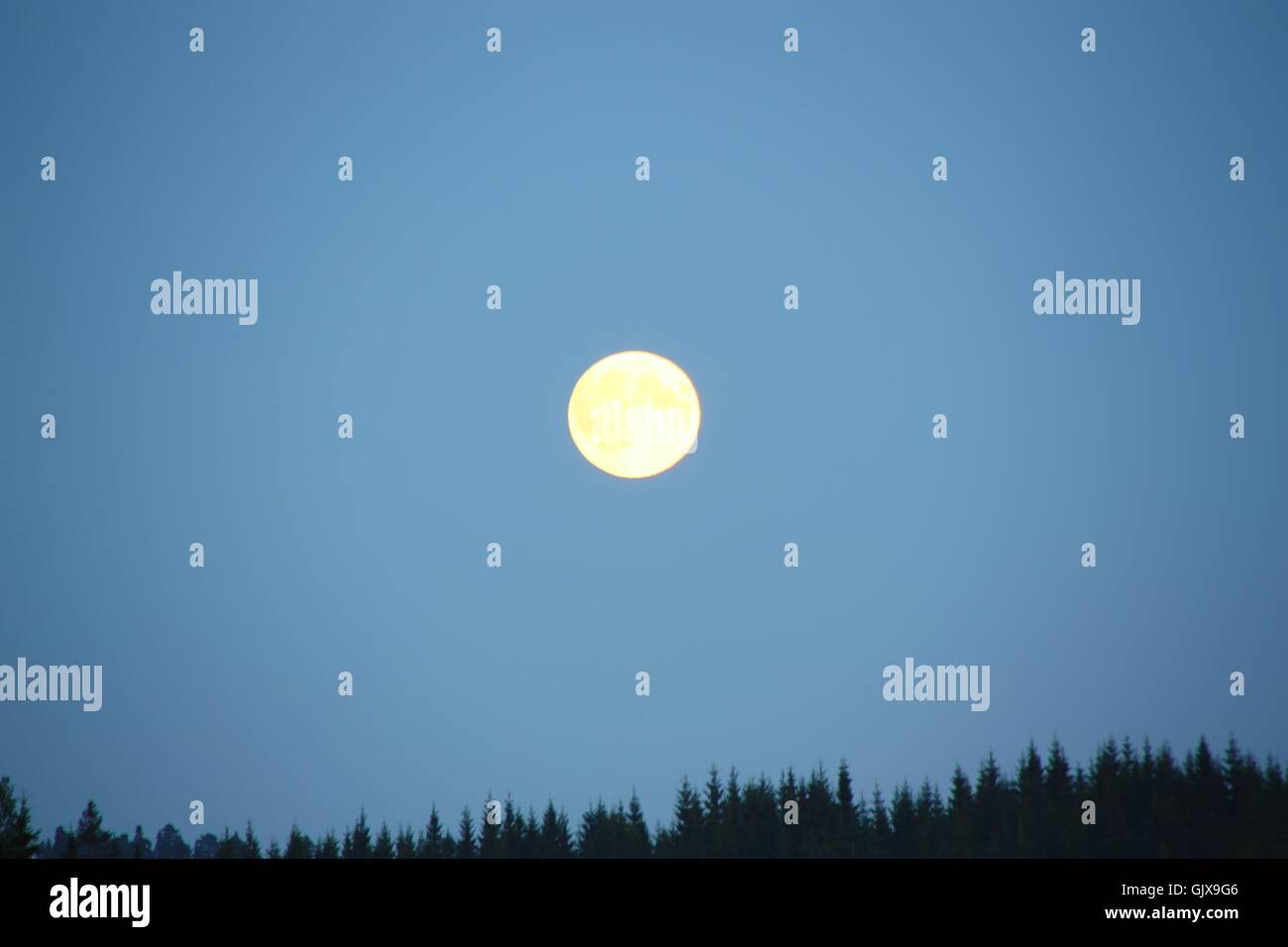 View of Nordmarka with full moon Stock Photo - Alamy