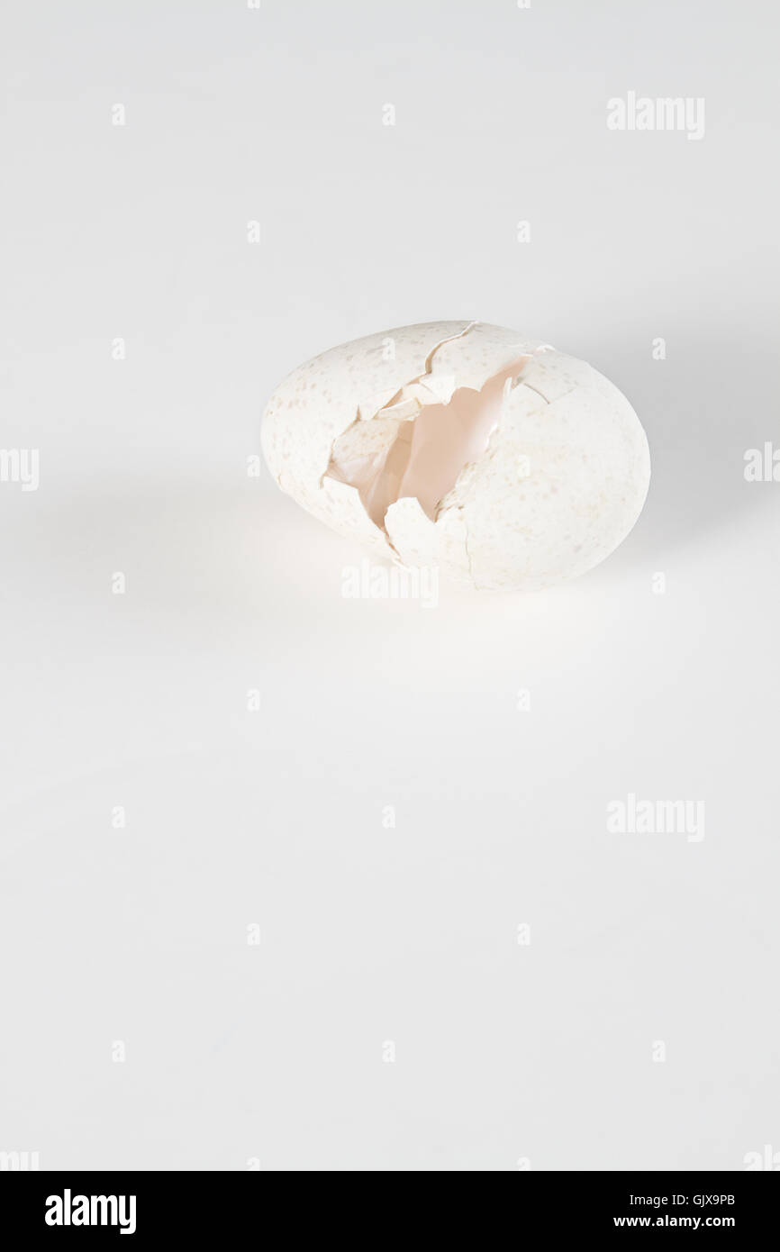 Cracked egg hatch hi-res stock photography and images - Alamy