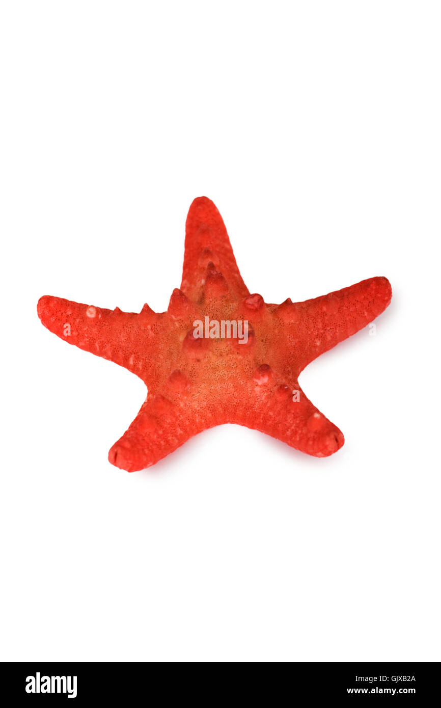 Star shape cut out hi-res stock photography and images - Alamy
