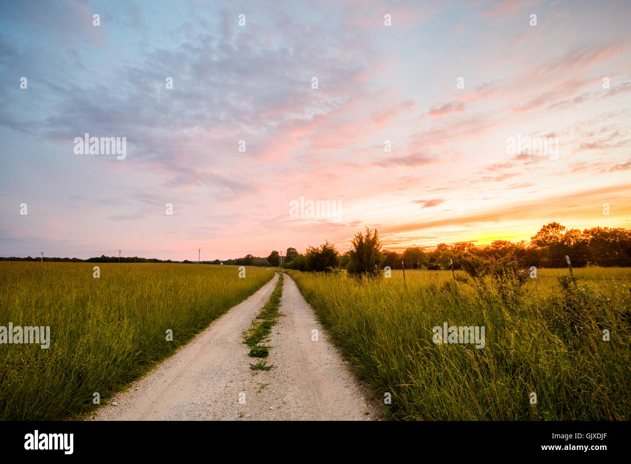Country road with hay field and a sunset Stock Photo - Alamy